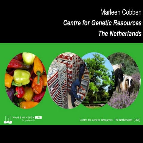 Overview of International Treaty on Plant Genetic Resources for Food ...