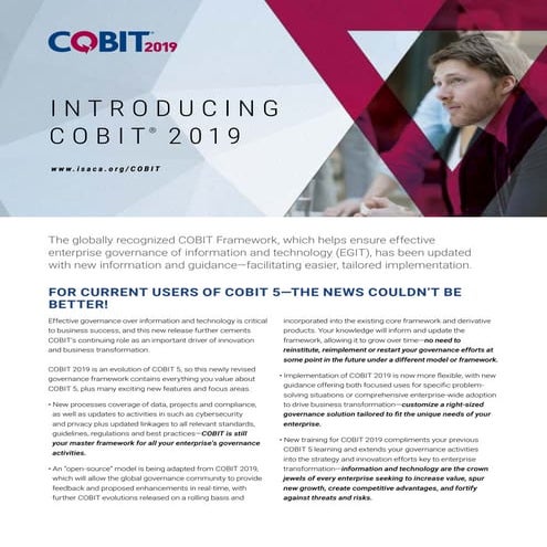 Cobit 2019 Current User Isaca Publication Pdf