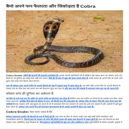 कैसे अपने फन फैलाता और सिकोड़ता है Cobra.pdf