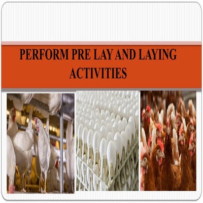 Competency based learning materials in PERFORM PRE LAY AND LAYING ...