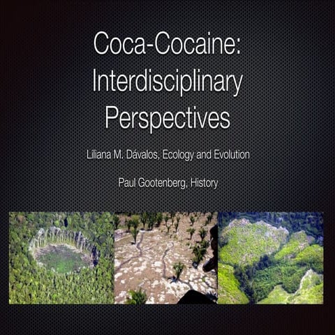 Interdisciplinary perspectives on coca and cocaine 2014 | PPT