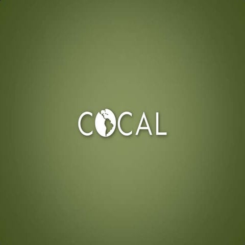 Cocal Informe | PPTX