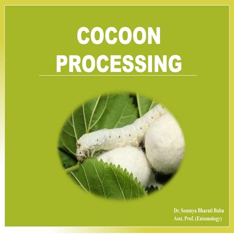 Comprehensive Guide to Cocoon Processing and Silk Reeling Techniques | PDF