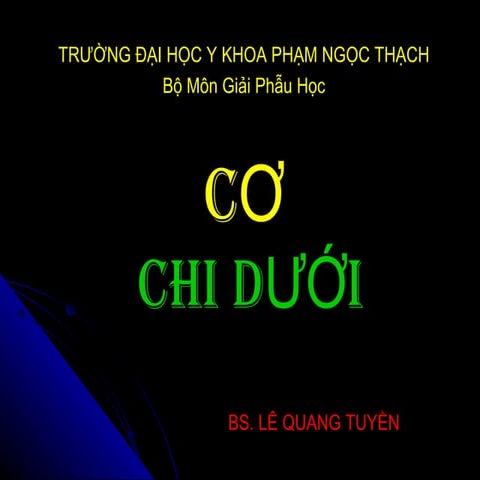 Co chi dưới Giải Phẫu Y Khoa Vinh VMU | PPT