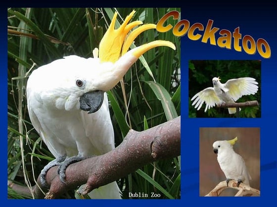 Ap Bio Invasive Species Project | DOC