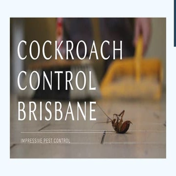 Cockroach control brisbane | PDF