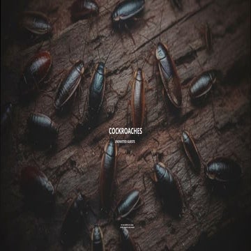 COCKROACHES:climate, facts, diseases, types | PPTX