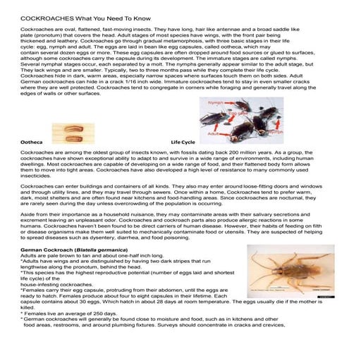 COCKROACHES What You Need to Know.pptx
