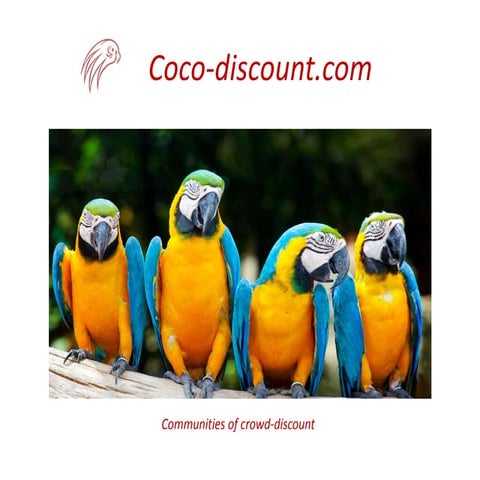 Coco-discount.com