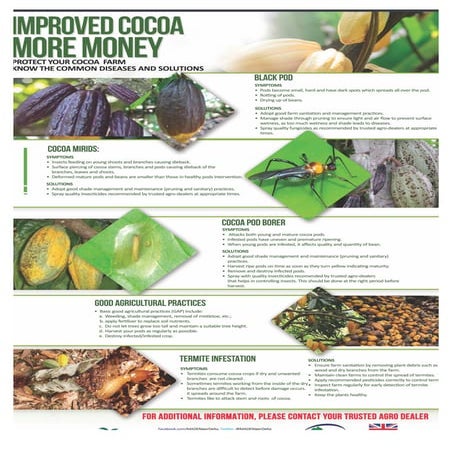 Cocoa: Solutions to Pests and Diseases | PDF
