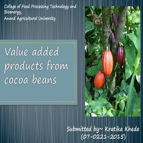 Processing of cocoa | PPTX