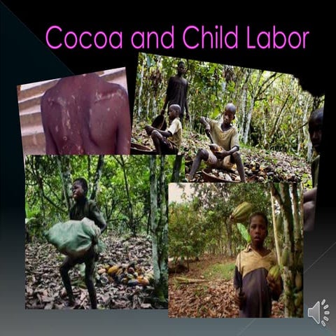 Cocoa and child labor final project | PPT