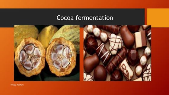 Processing of cocoa | PPT