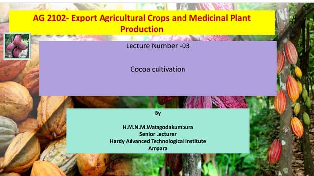 CACAO NURSERY ESTABLISHMENT AND MANAGEMENT.pptx