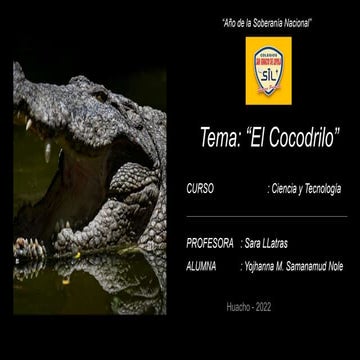CLASIFICACION Y DETALLES DE UN COCODRILO | PPTX