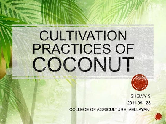 Coconut | PPT