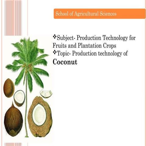 coconut ppt.pptx The botanical name for the coconut is Cocos nucifera | PPTX