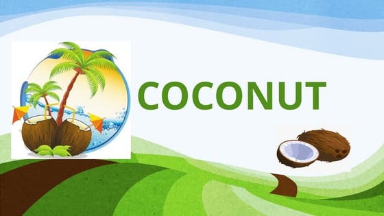 Coconut.tree ppt | PPT | Food & Drink