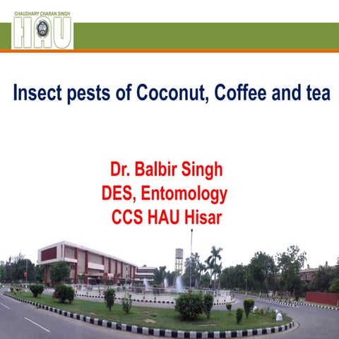 Insect pests of Cococnut | PDF