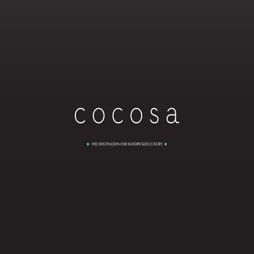 Cocosa B2B | PPT