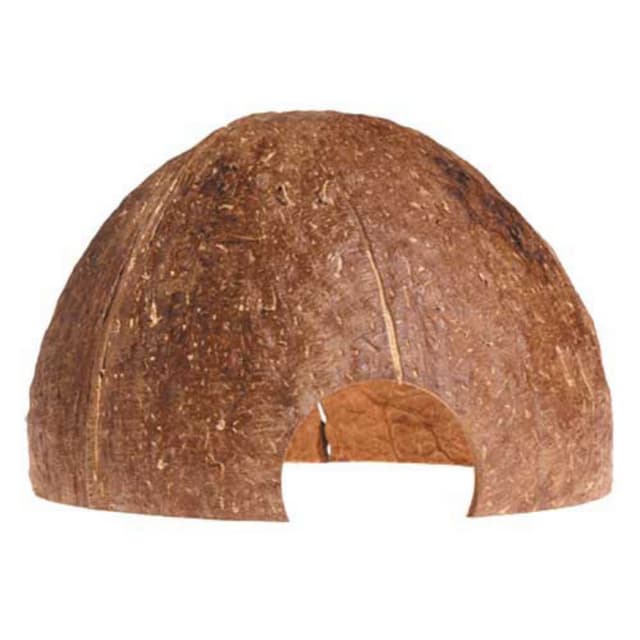 Coco shell small | PDF