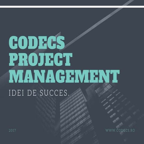 Bune Practici ale unui Manager de Proiect | PDF