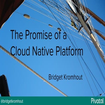 The Promise of a Cloud Native Platform (Code Freeze conf) | PPT