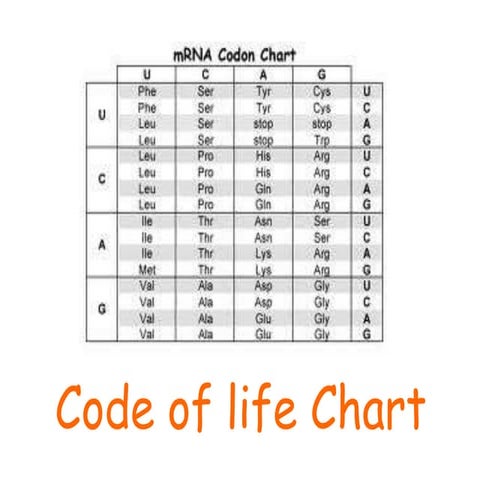 Code of life chart | PPTX