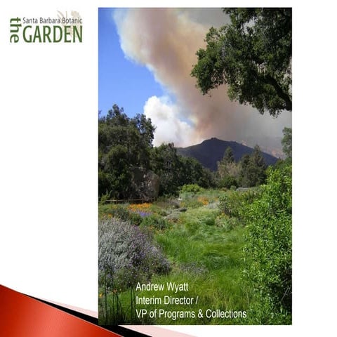 Code Red: Dealing with Disaster Wyatt | PPT