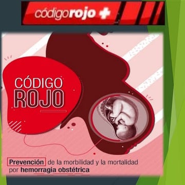 CODIGO ROJO 2022.pptx presentación final | PPTX