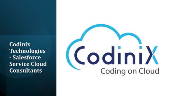 Salesforce lightning Services Providers | PPT