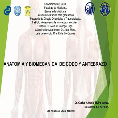 Anatomia de codo | PDF