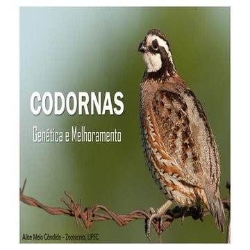 Codornas | PDF