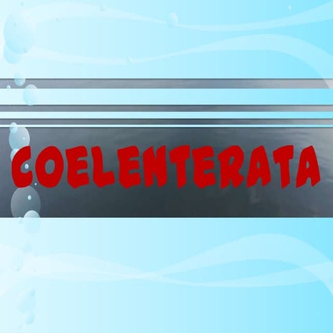 Coelenterata | PPTX