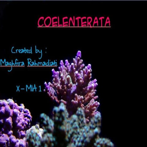 Coelenterata. Hydrozoa, Scypozoa, Anthozoa. | PPTX