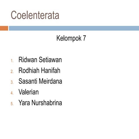 Coelenterata revisi | PPTX