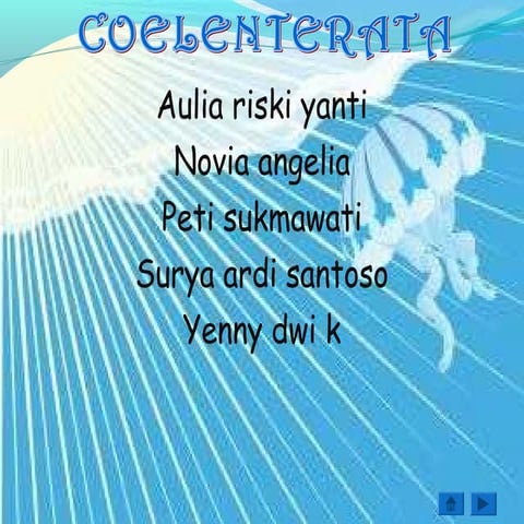 Coelenterata biologi | PPT