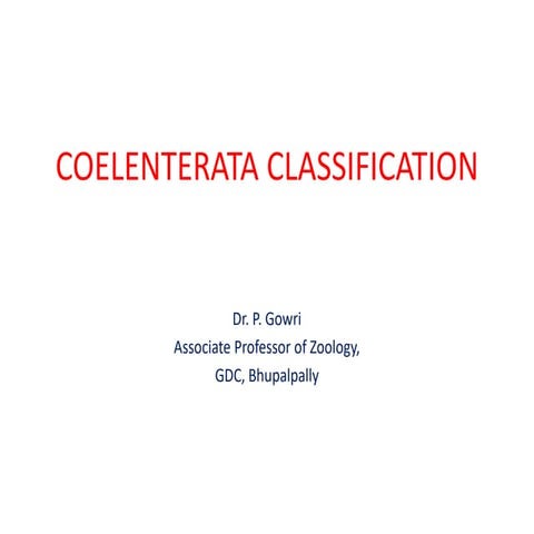COELENTERATA CLASSIFICATION.-Cnidaria pptx | PPT