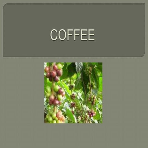 Coffee - Basic Introduction | PDF
