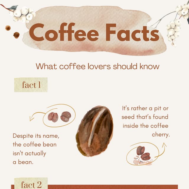 Coffee Facts | PDF
