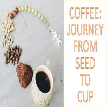 Coffee- The Beautiful Journey from Seed to Cup.pptx