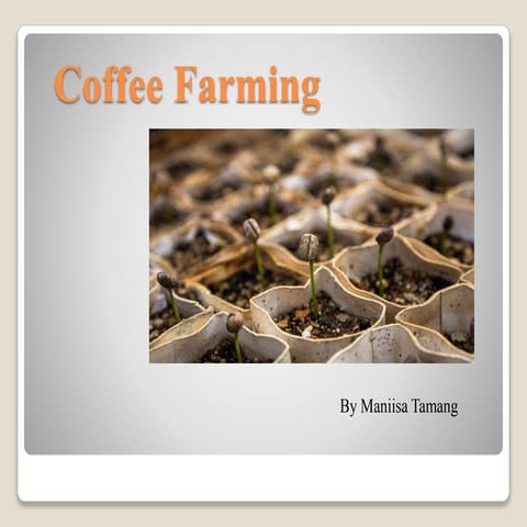 Coffee farming | PPT