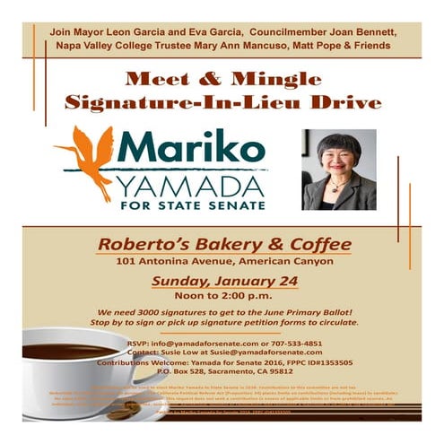 Flyer - State Senate Campaign | PDF