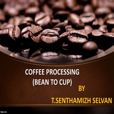 Coffee - Basic Introduction | PDF