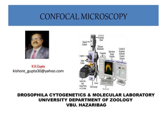 Immuno techniques like fish &gish and confocal microscopy | PPT