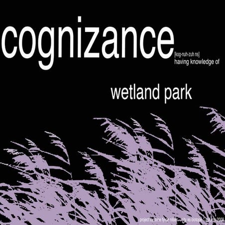 Cognizance | PDF