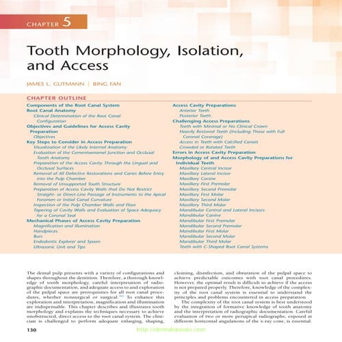 Cohen’s - Access Opening.pdf