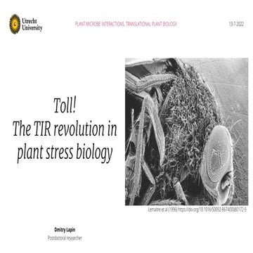 The TIR revolution in plant stress biology | PPT