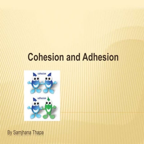 Cohesion And Adhesion Examples