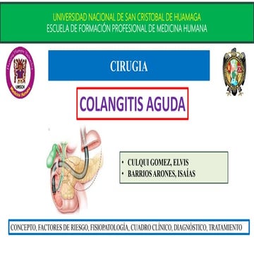 COLANGITIS AGUDA-CIRUGIA/concepto, etiologia, patogenia ...